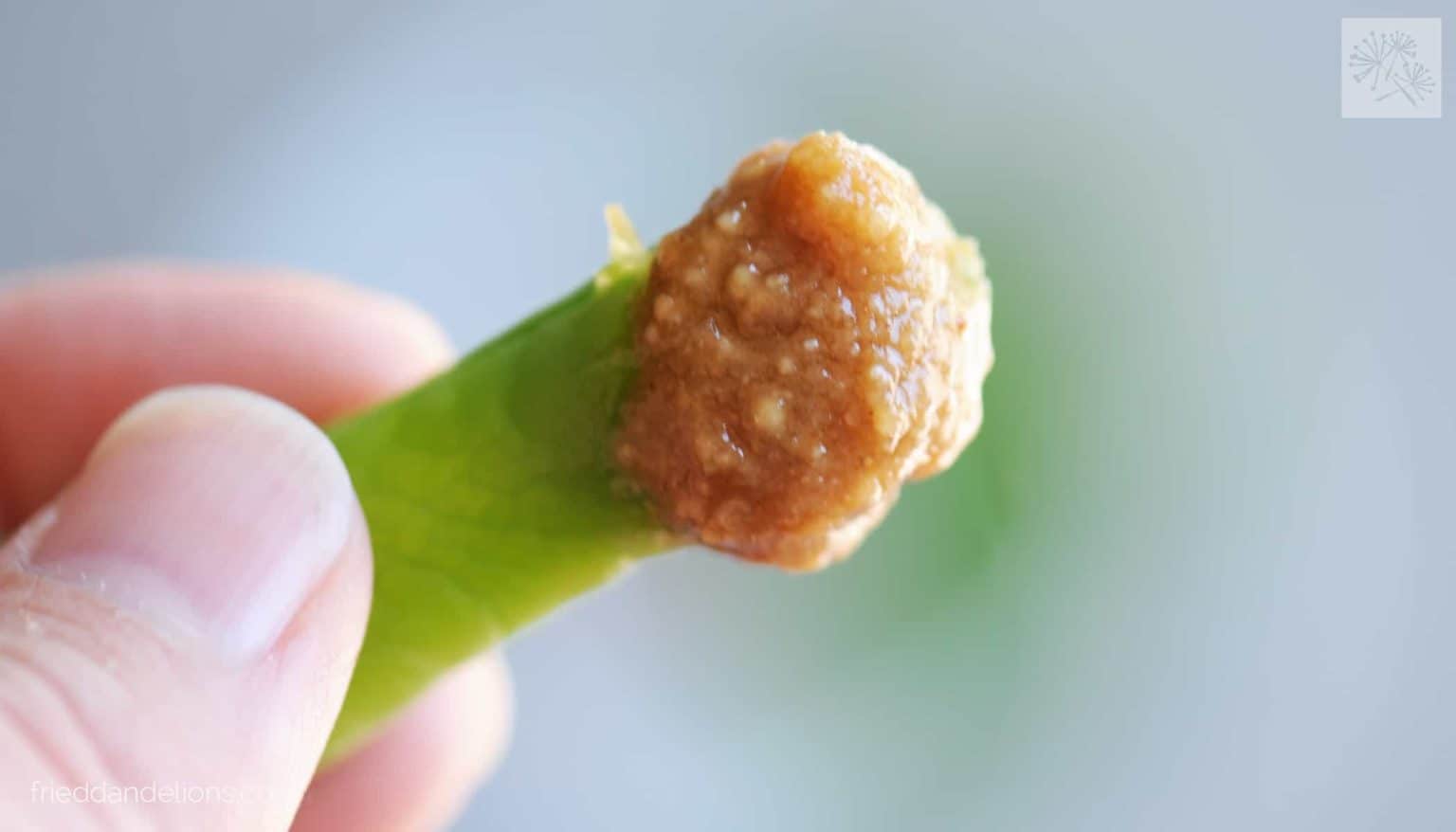 30 Easy After School Snacks that Won’t Ruin Dinner - Simply Well Balanced