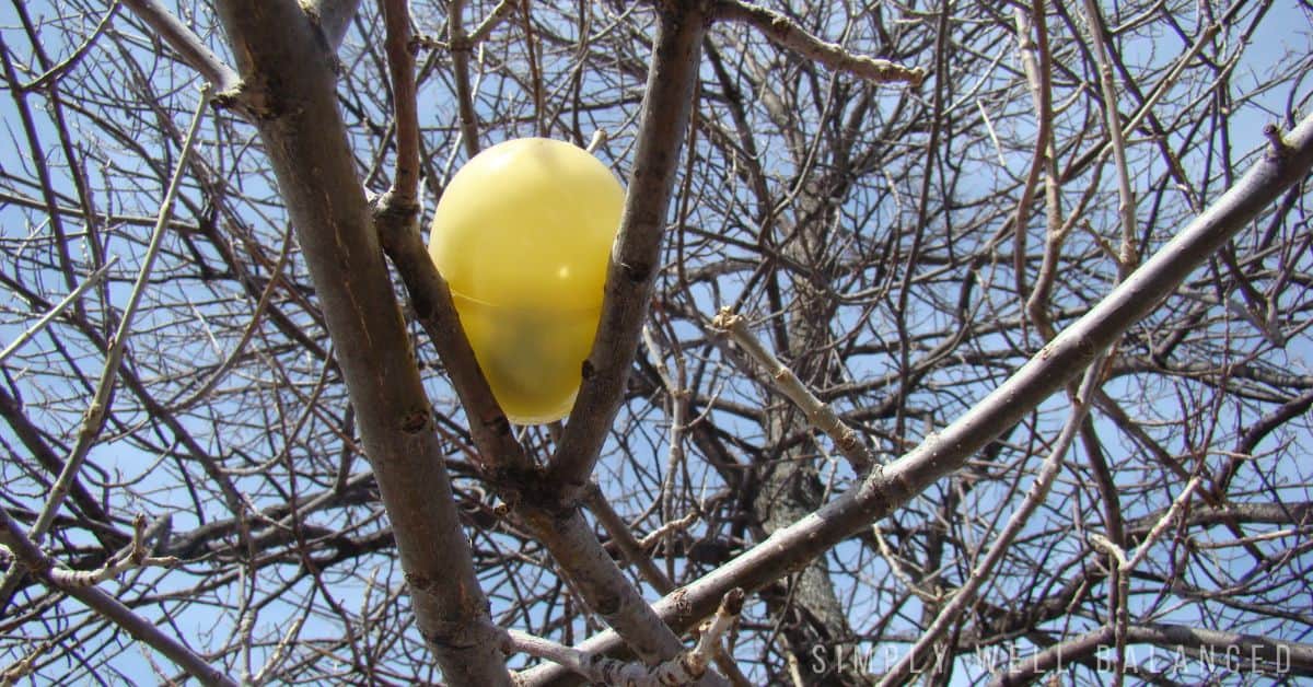 100 Genius Places to Hide Easter Eggs for Kids - Simply Well Balanced